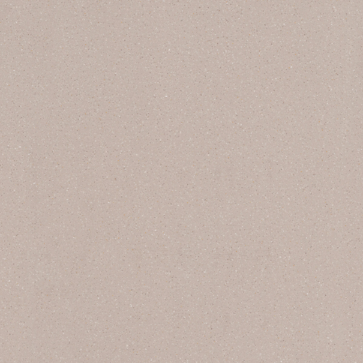 Montelli® NUT | Counter Production Ltd